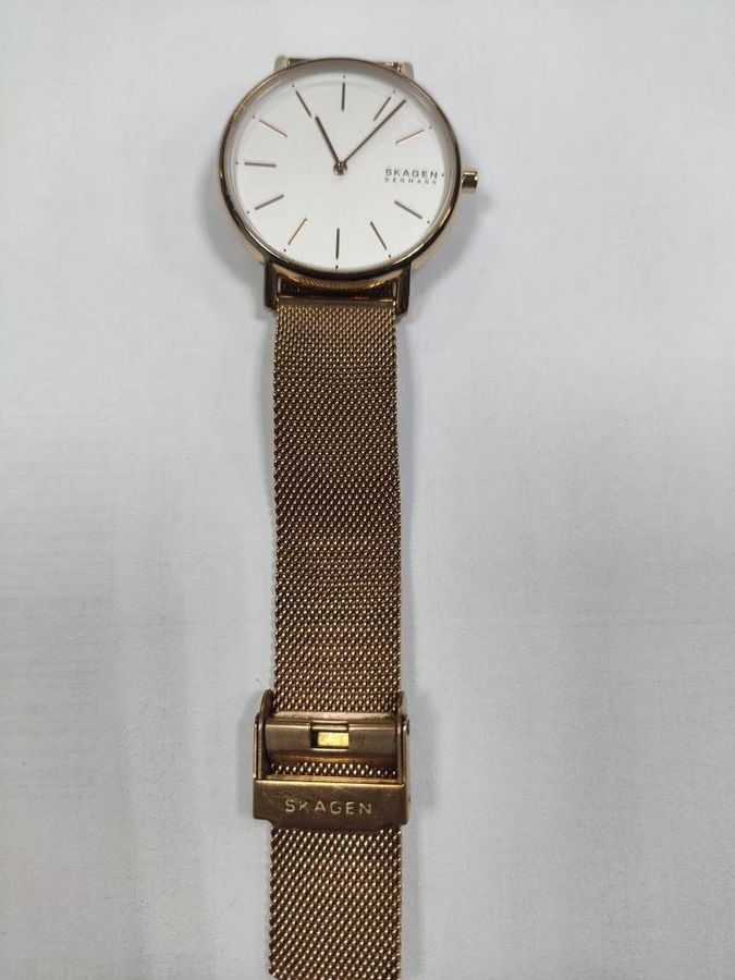 Купить Часы Skagen 252107 01-19300650 | Техноскарб