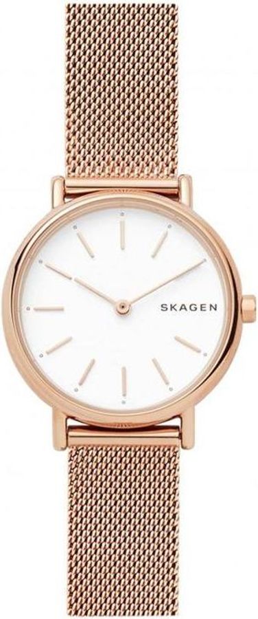 Купити Годинник Skagen 252107 | Техноскарб